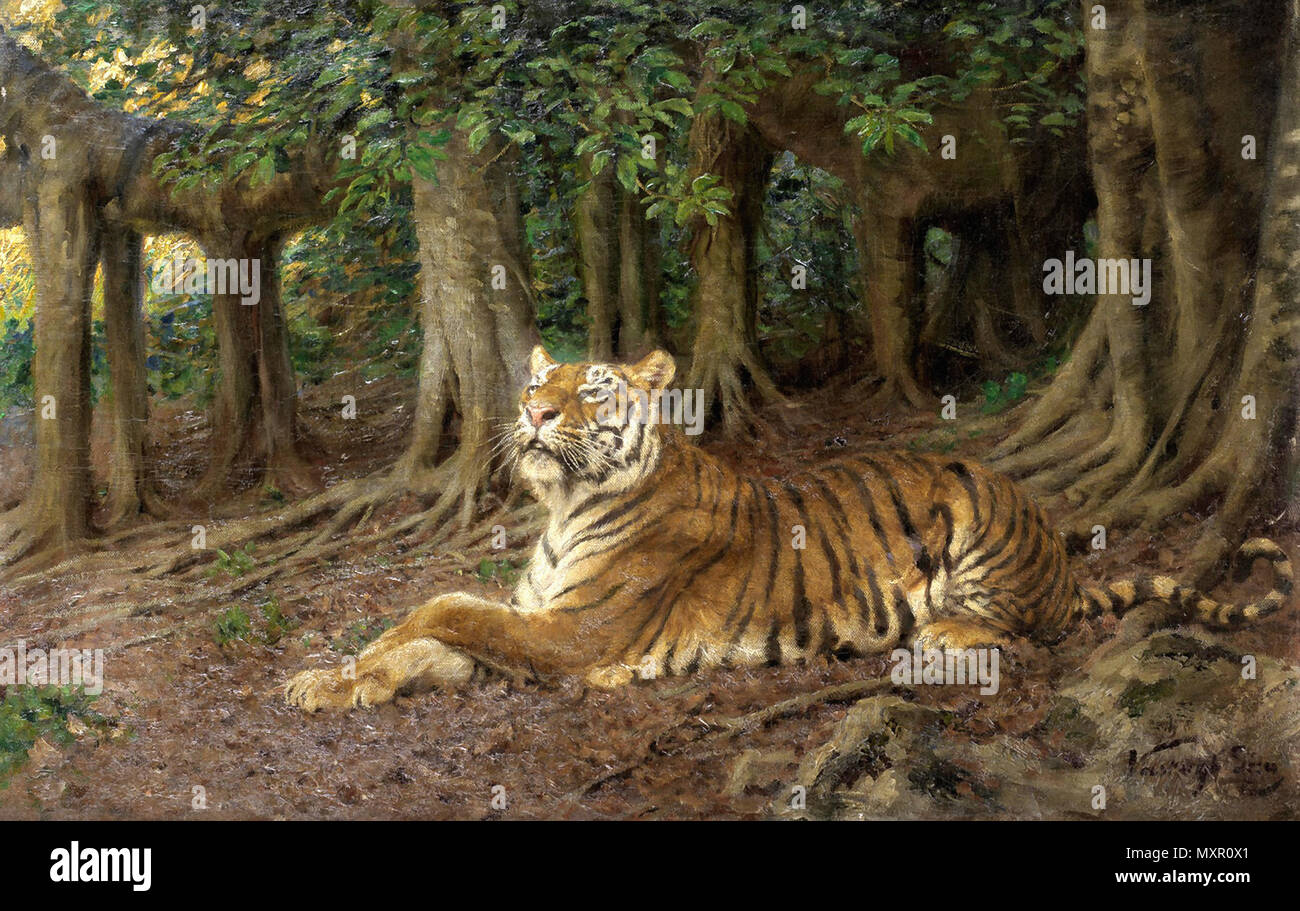 Tiger reclining hi-res stock photography and images - Alamy