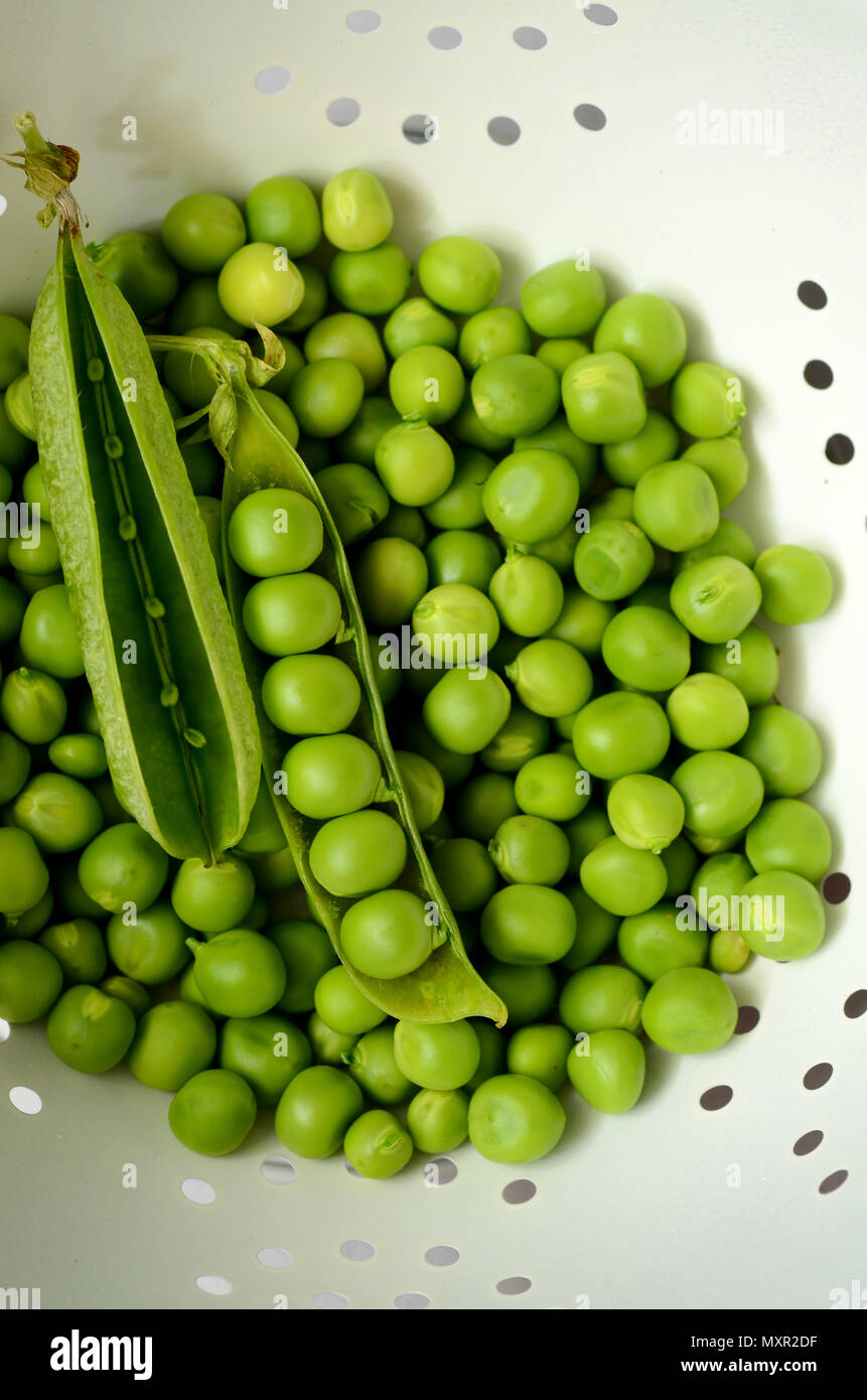 Bio photograph hi-res stock photography and images - Alamy