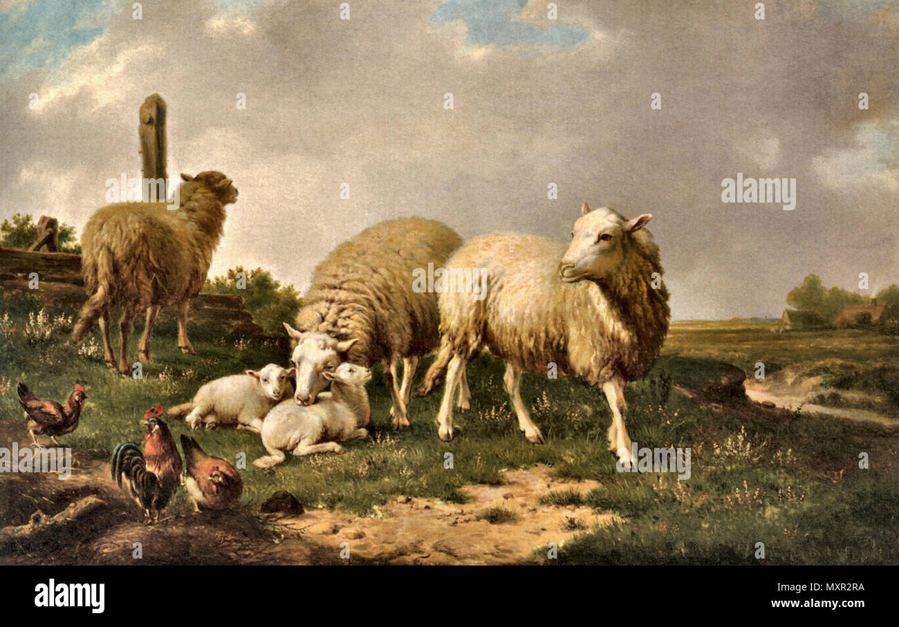 Verboeckhoven Eugene Joseph - Sheep and Rooster Stock Photo - Alamy