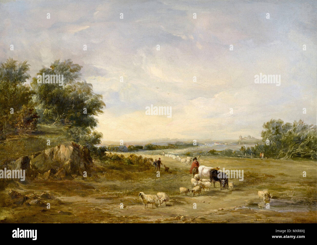 Cattle drovers hi-res stock photography and images - Alamy