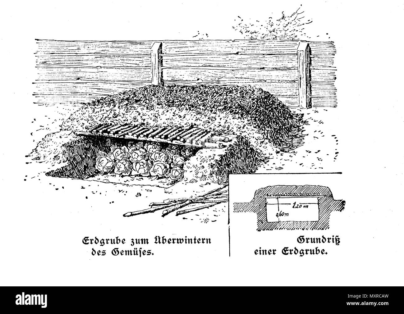 Earth pit for wintering of vegetables, bottom right: Ground plan of an ...