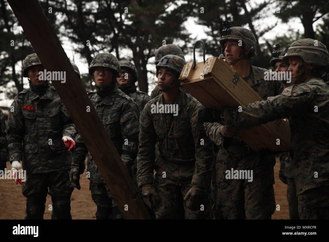U.S. and Republic of Korea Marines work together to move supplies ...