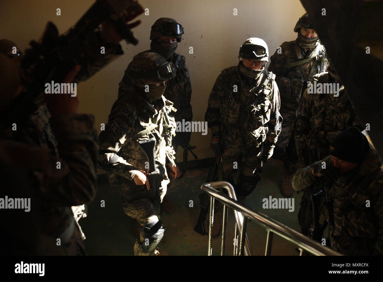 U.S. and Republic of Korea Marines practice stairwell clearing drills ...