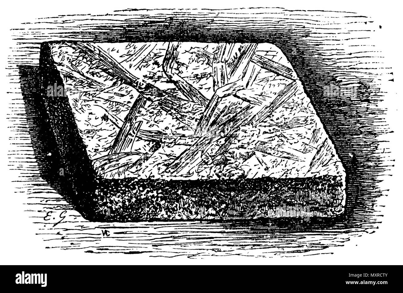 Mushroom breeding block, E.G. u. V.C. 1915 Stock Photo - Alamy