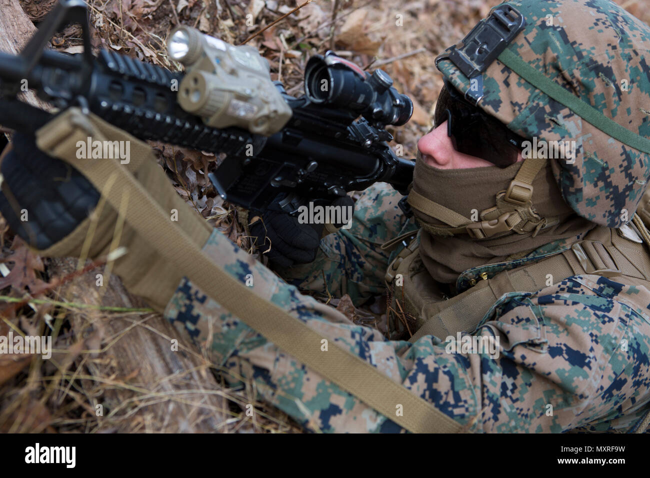 U s marine corps pfc austin hi-res stock photography and images - Alamy