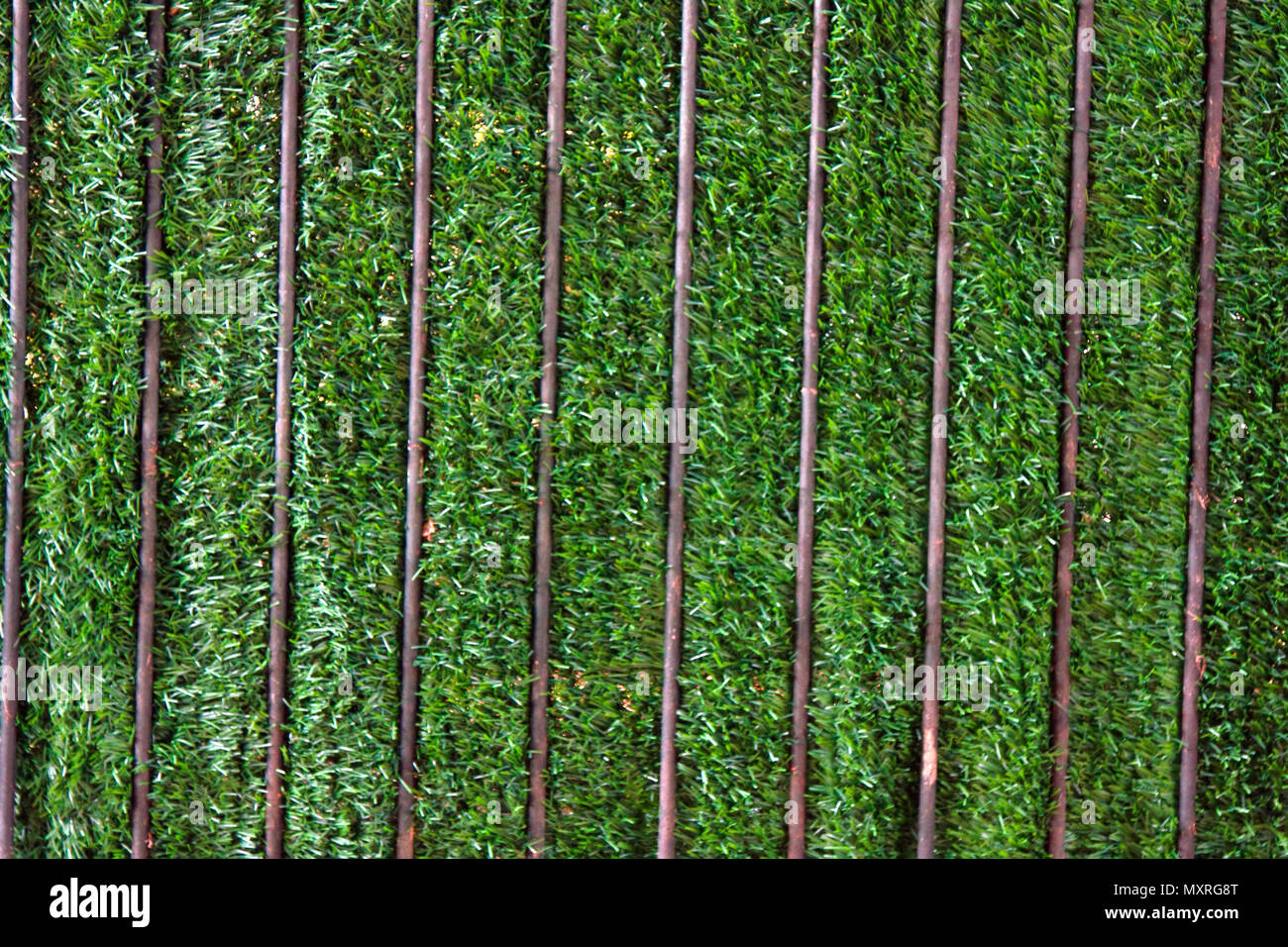 Herbal fence, hedge. Green fence with frame made of metal rods ...