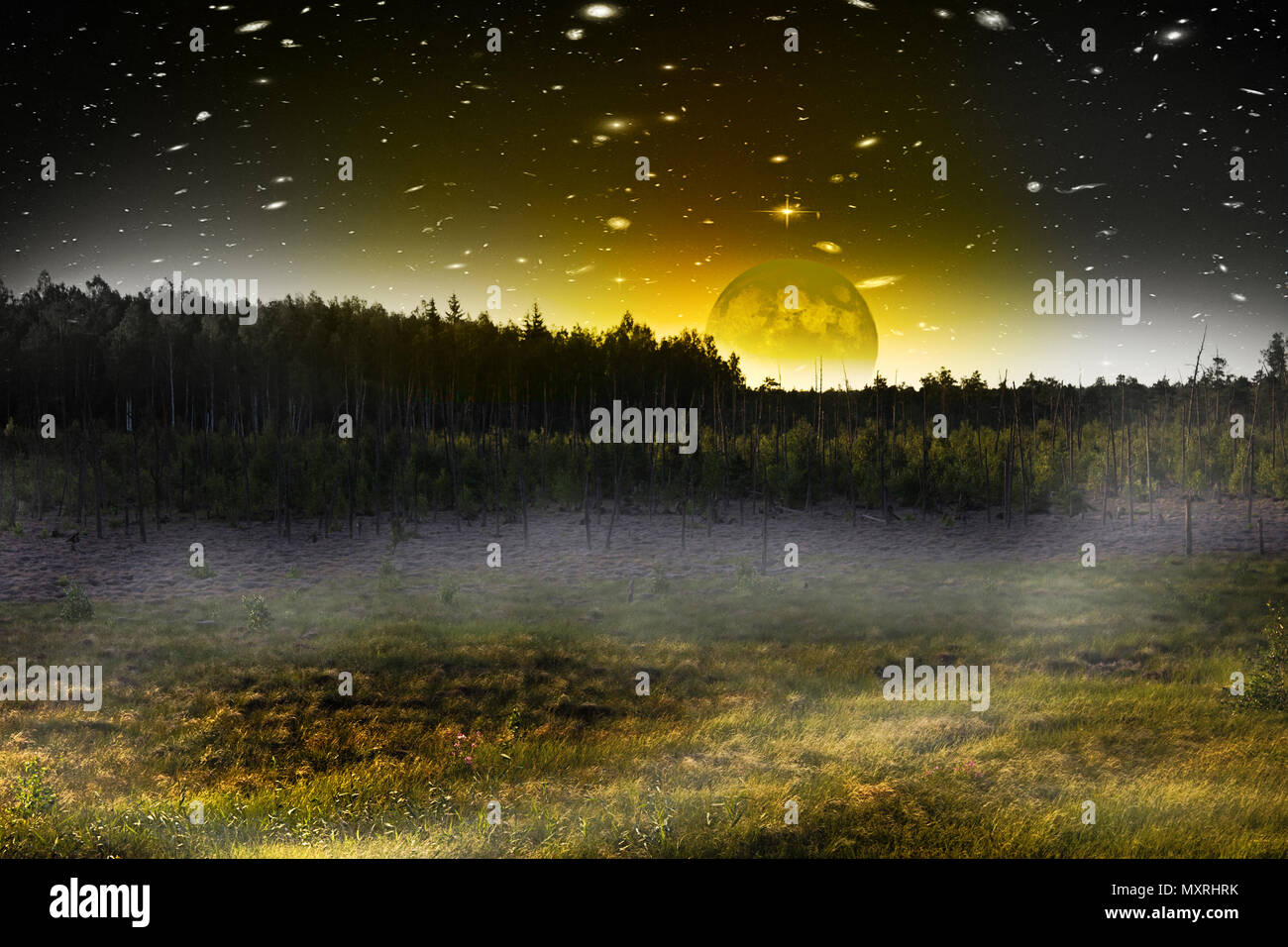 moon and mysterious nocturnal landscapes with space part. night open ...
