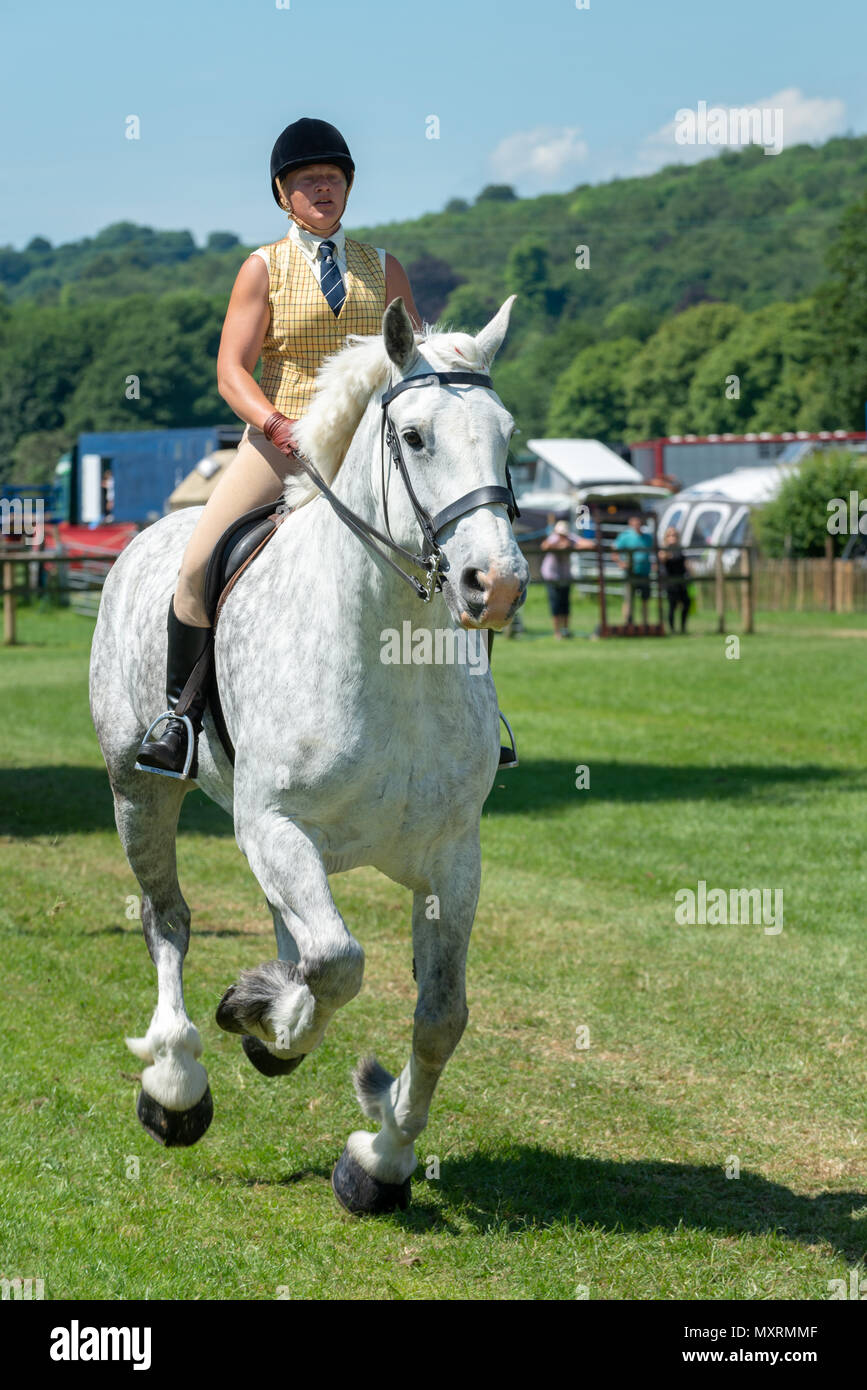 A woman riding a beautiful and large Percheron horse at a Living ...