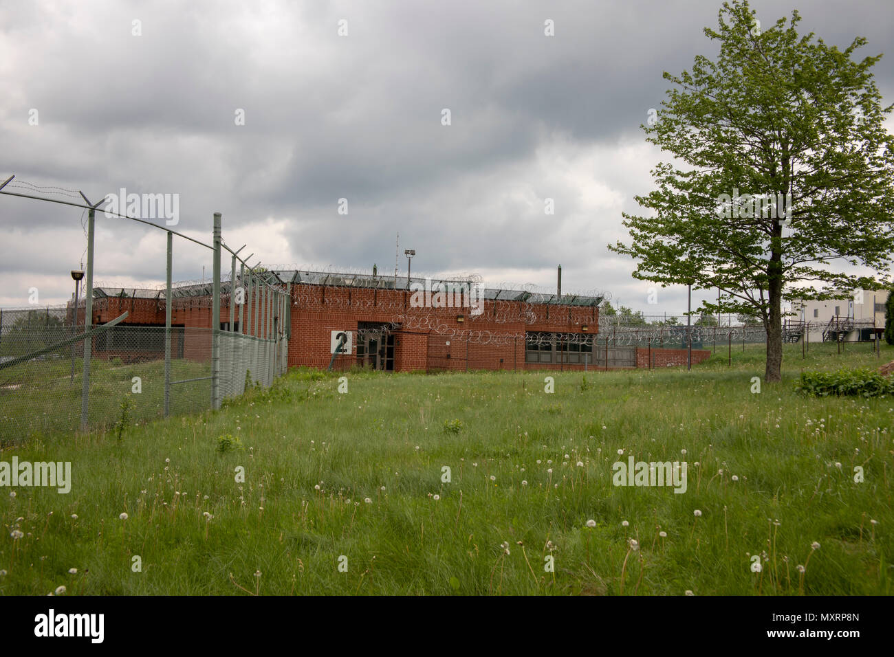 Prison yard overgrown with weeds surrounded by fencing with razor wire ...