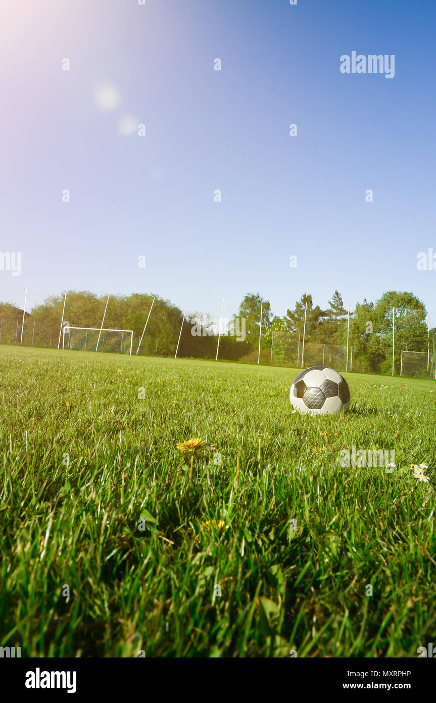 In summer on an empty football field. The grass pitch has no ...