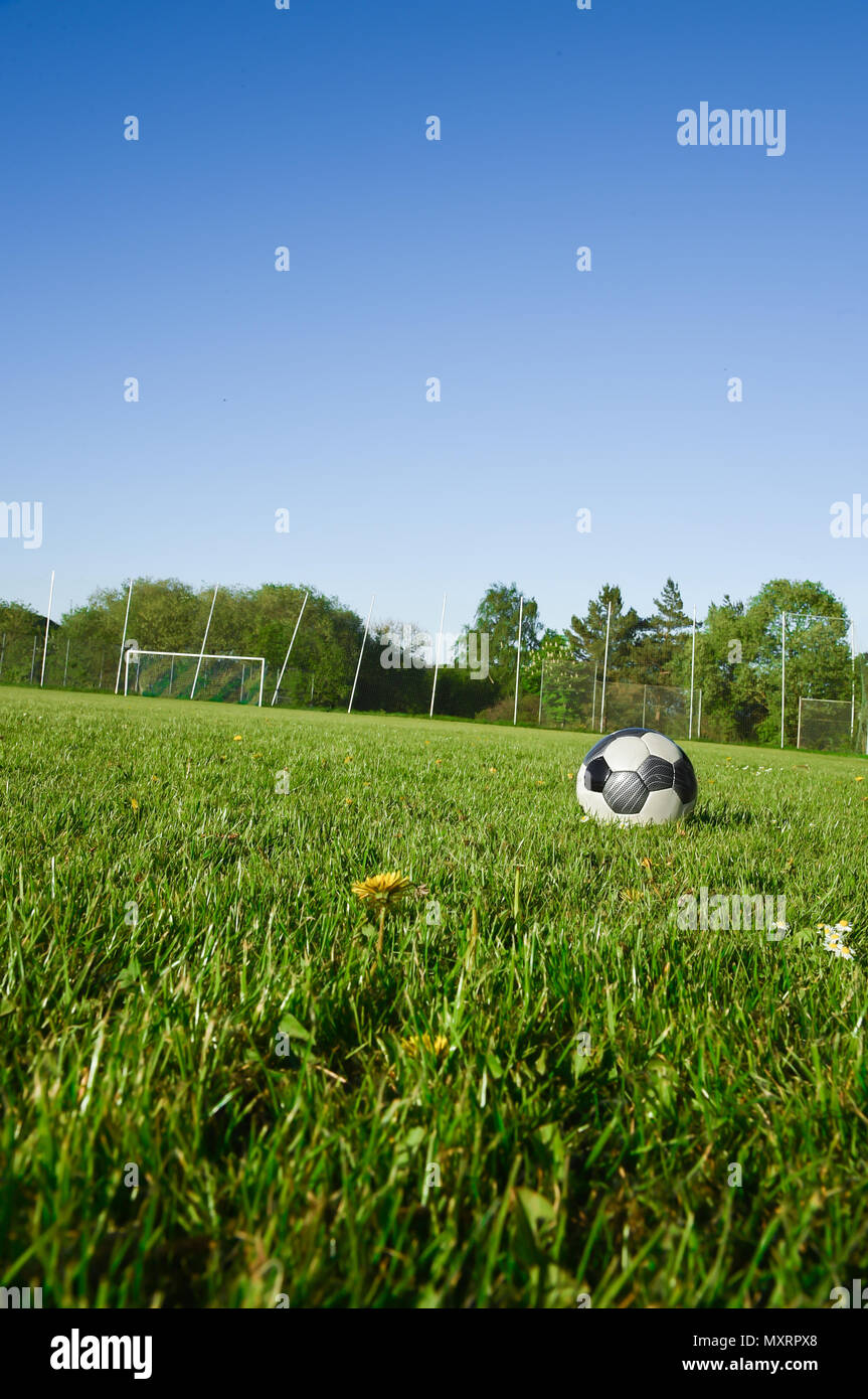 In summer on an empty football field. The grass pitch has no ...