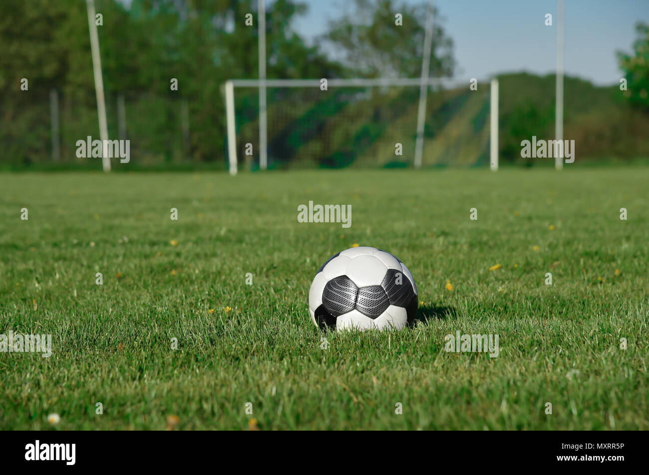 In summer on an empty football field. The grass pitch has no ...
