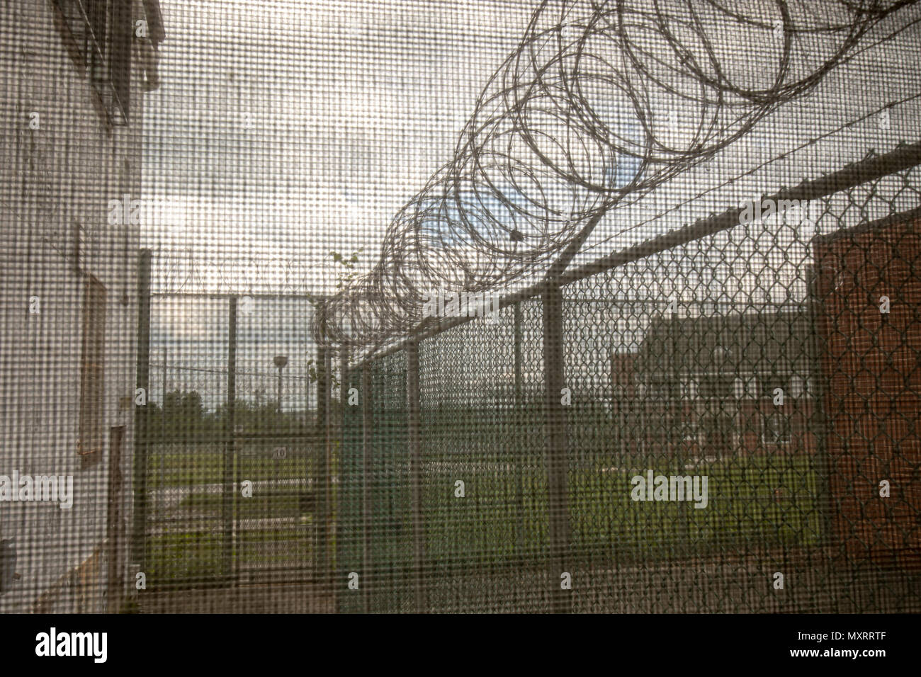 Exercise yard with razor wire outside building in prison through mesh ...