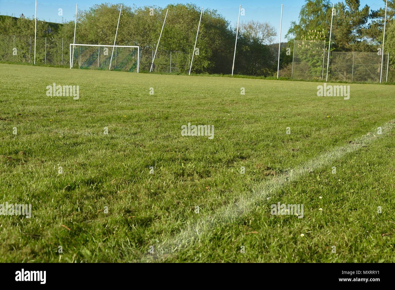 In summer on an empty football field. The grass field has applied lines ...
