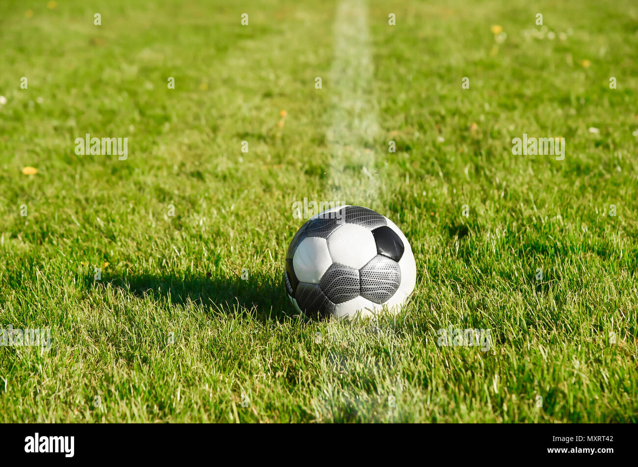In summer on an empty football field. The grass field has applied lines ...