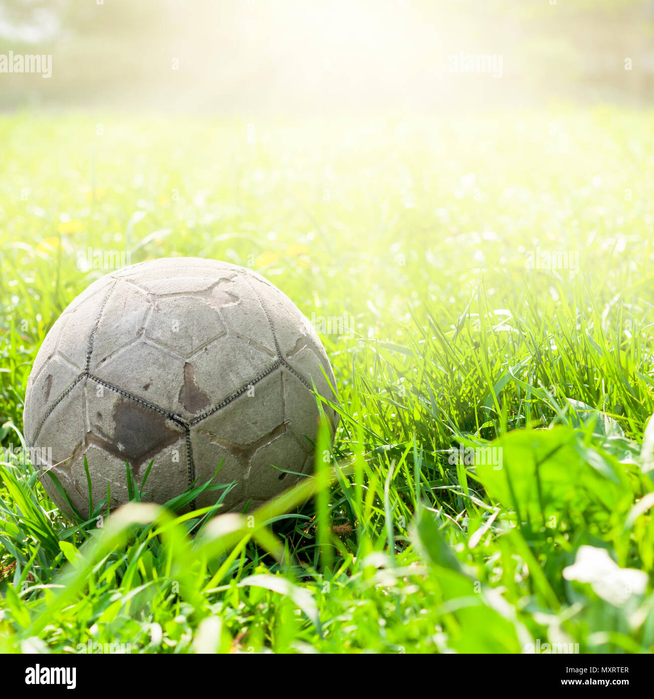 Old soccer ball forgotten in the green grass field. The football ...