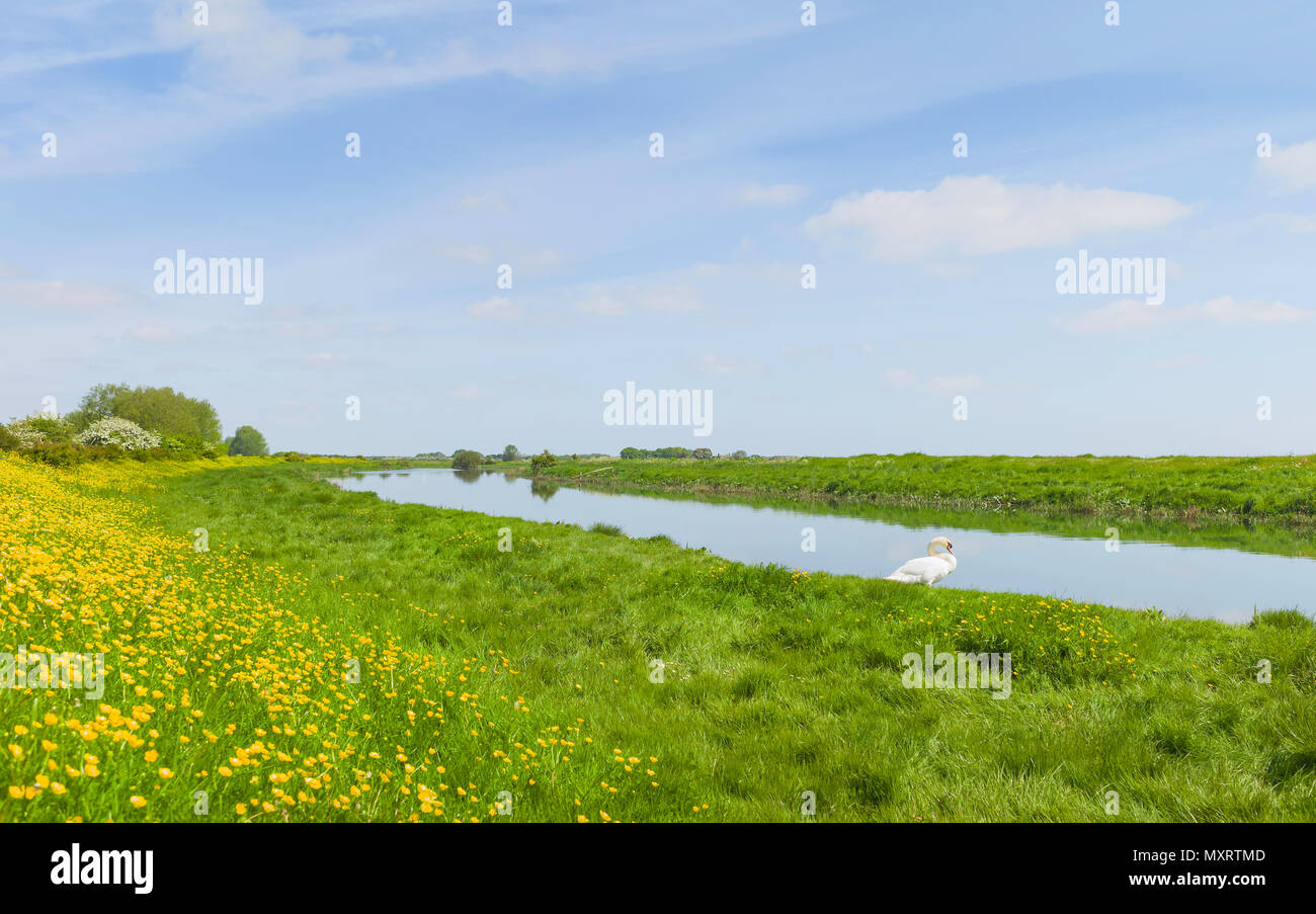 Spring bank hull hi-res stock photography and images - Alamy