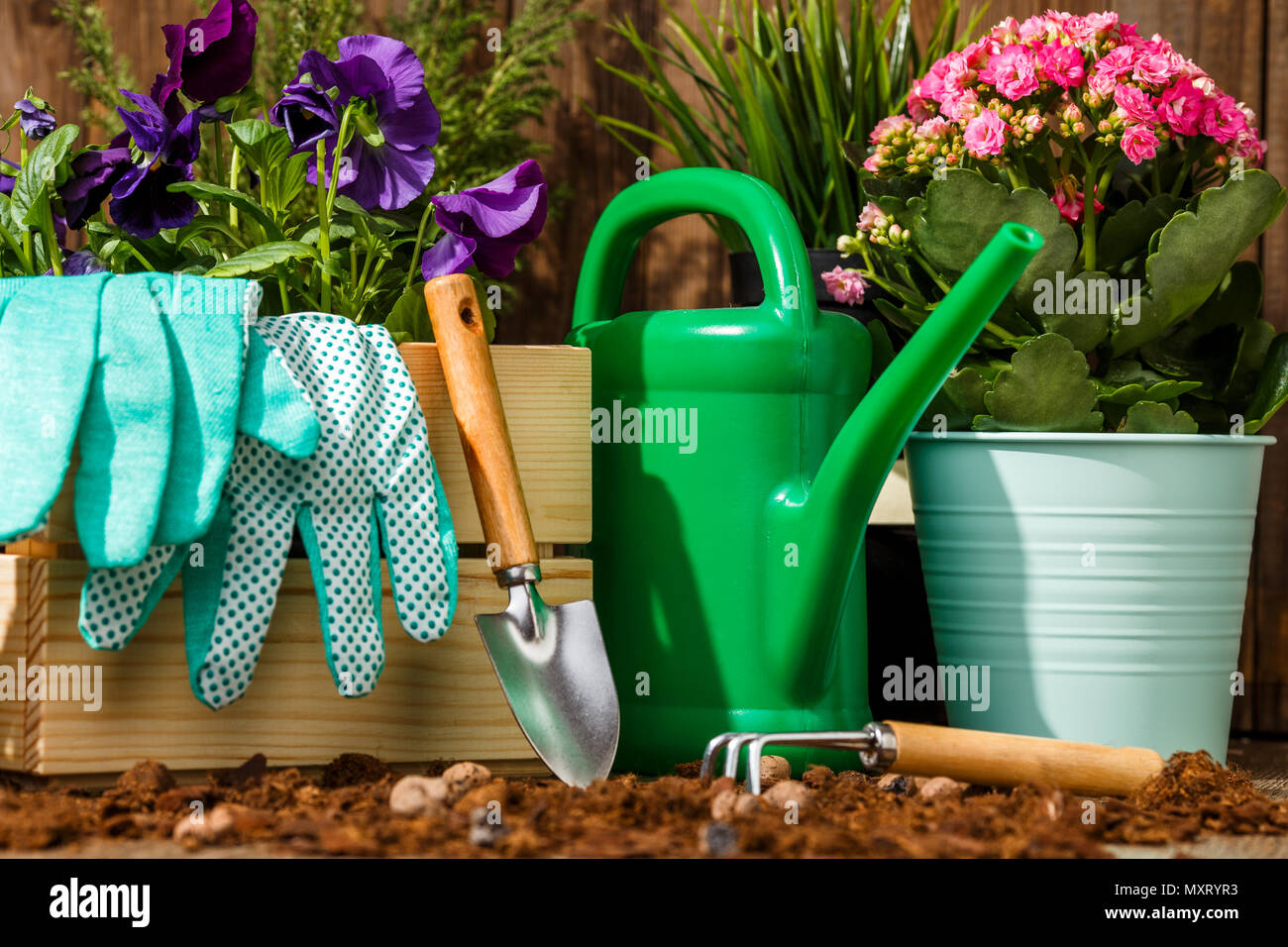 Gardening tools and flowers Stock Photo - Alamy