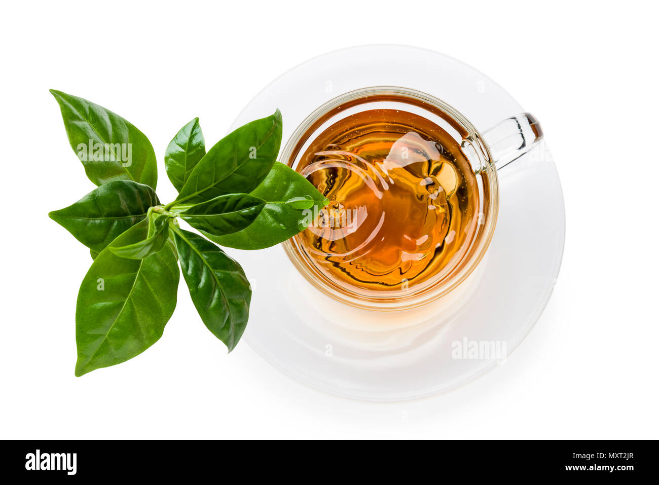 Fall herbs Cut Out Stock Images & Pictures - Alamy