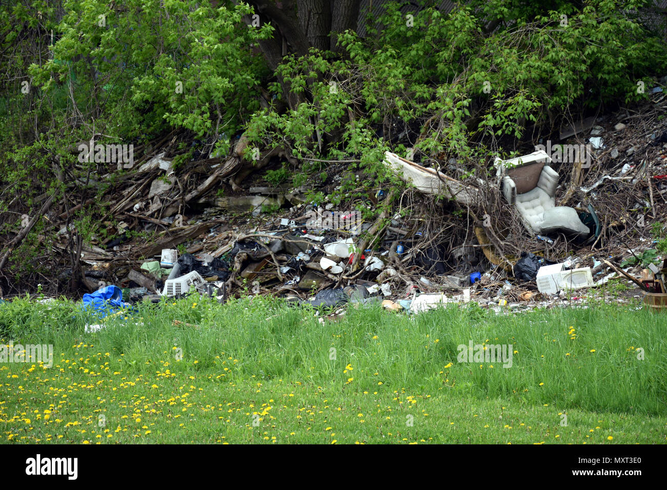 Rubbish in the environment hi-res stock photography and images - Alamy