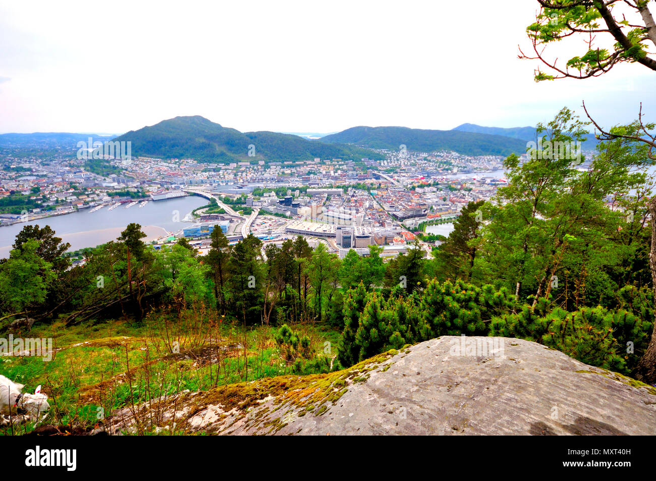 Views of the city of Bergen from the funicular lookout Stock Photo - Alamy