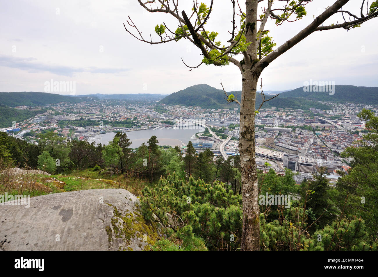Views of the city of Bergen from the funicular lookout Stock Photo - Alamy