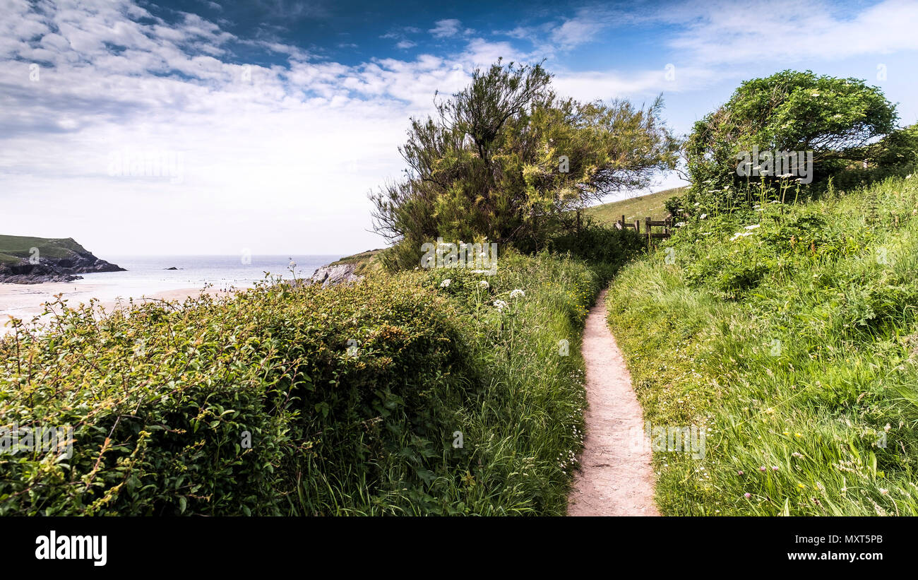 Panoramic sea view wild beach hi-res stock photography and images - Alamy