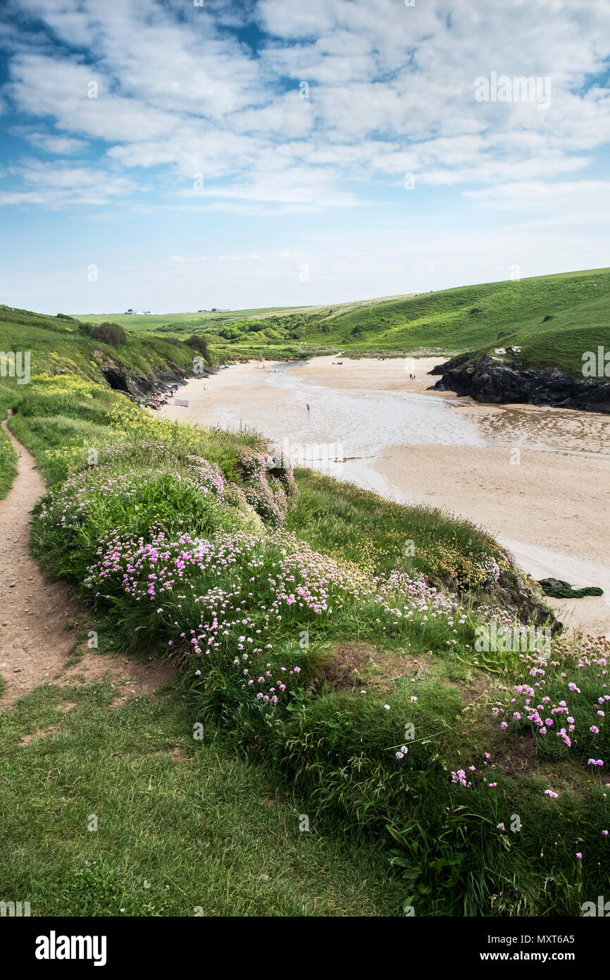 Polly Joke Porth Joke Beach on the North Cornwall coast Stock Photo - Alamy