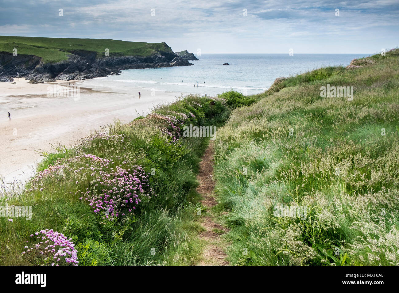 Polly Joke Porth Joke beach on the North Cornwall coast Stock Photo - Alamy
