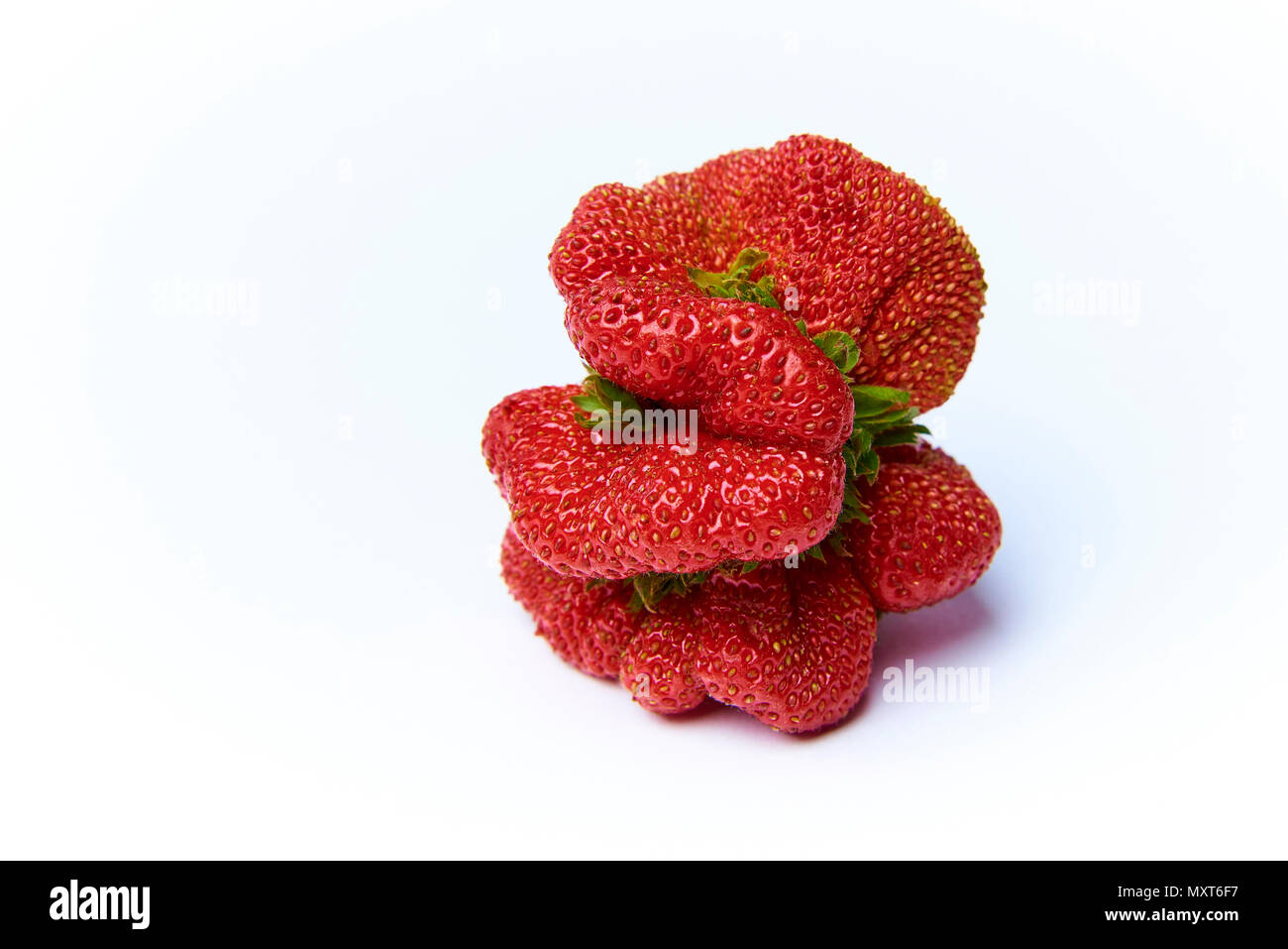 Ripe juicy strawberry of strange unusual shape on a white background ...