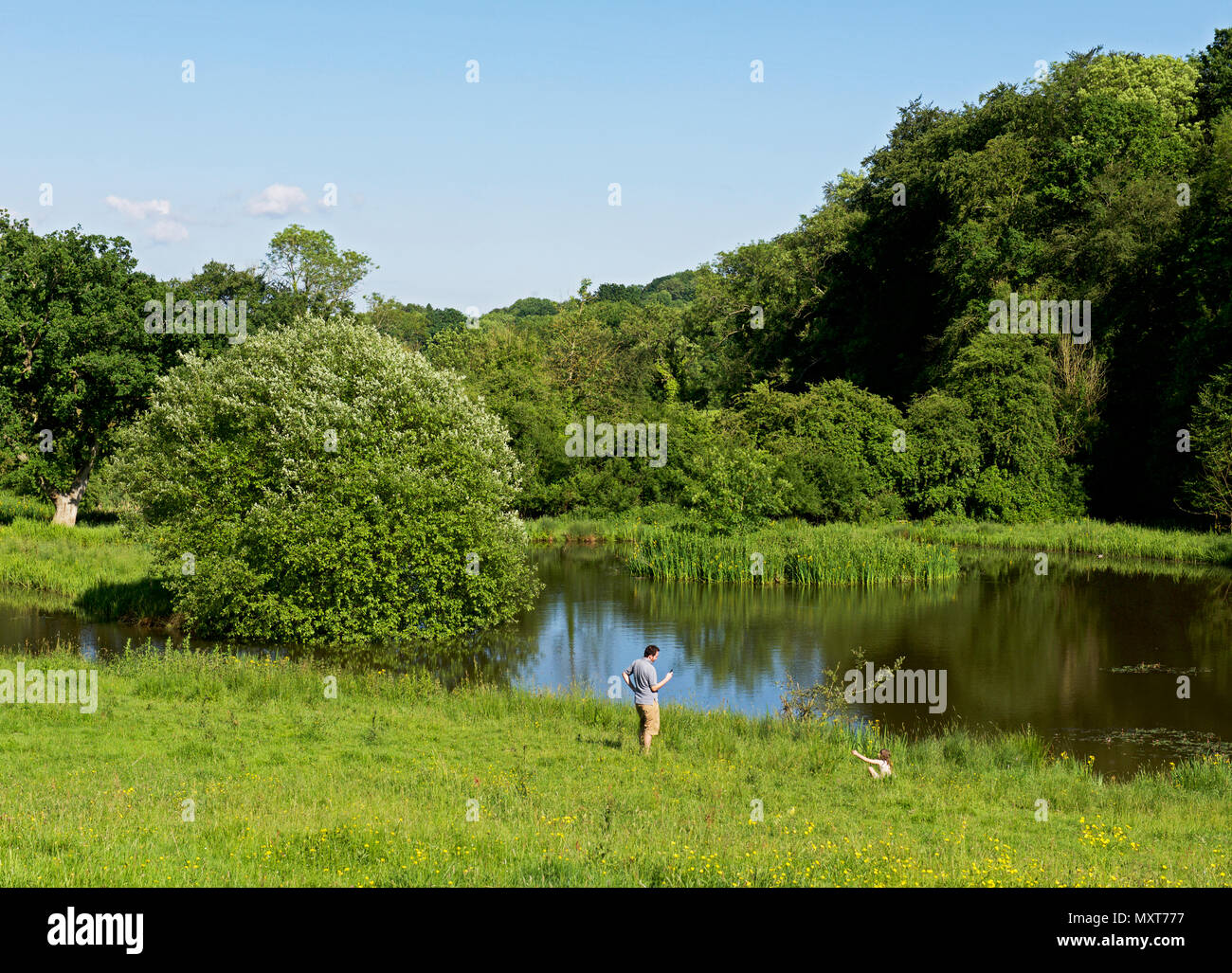 Landscape around the village of Selborne, Hampshire, England UK Stock ...