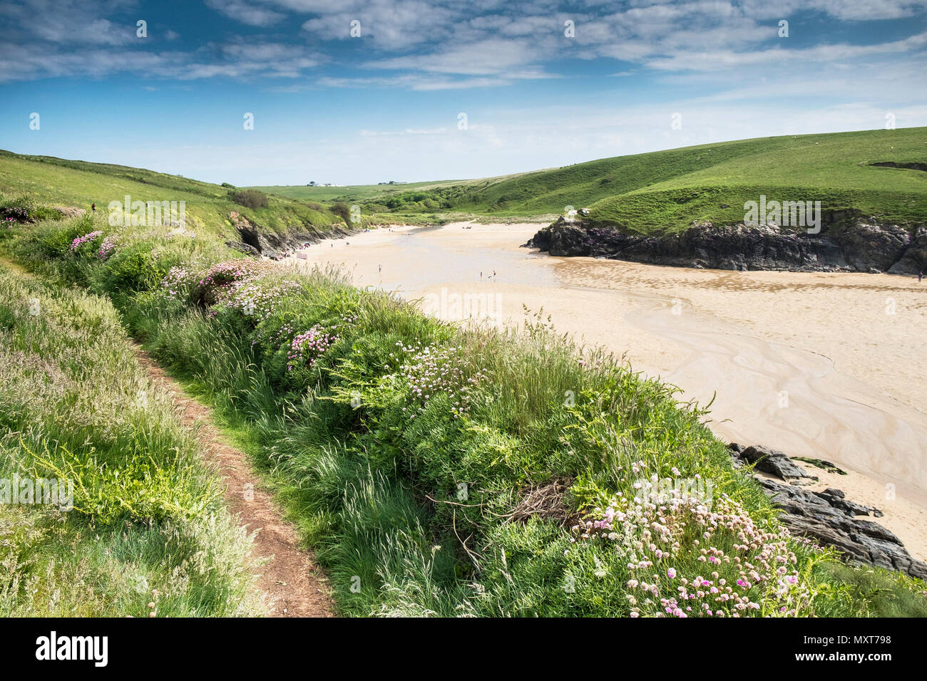 Polly Joke Porth Joke beach on the North Cornwall coast Stock Photo - Alamy
