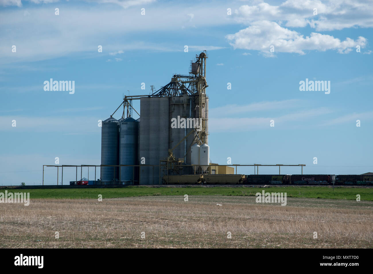 Grain Elevator near Carseland, Alberta, Canada Stock Photo - Alamy