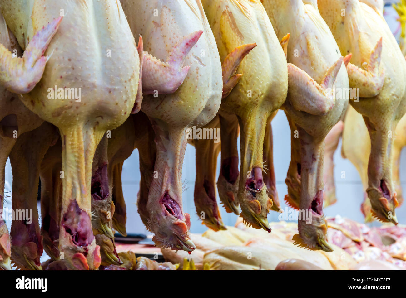 Peruvian meat hi-res stock photography and images - Alamy