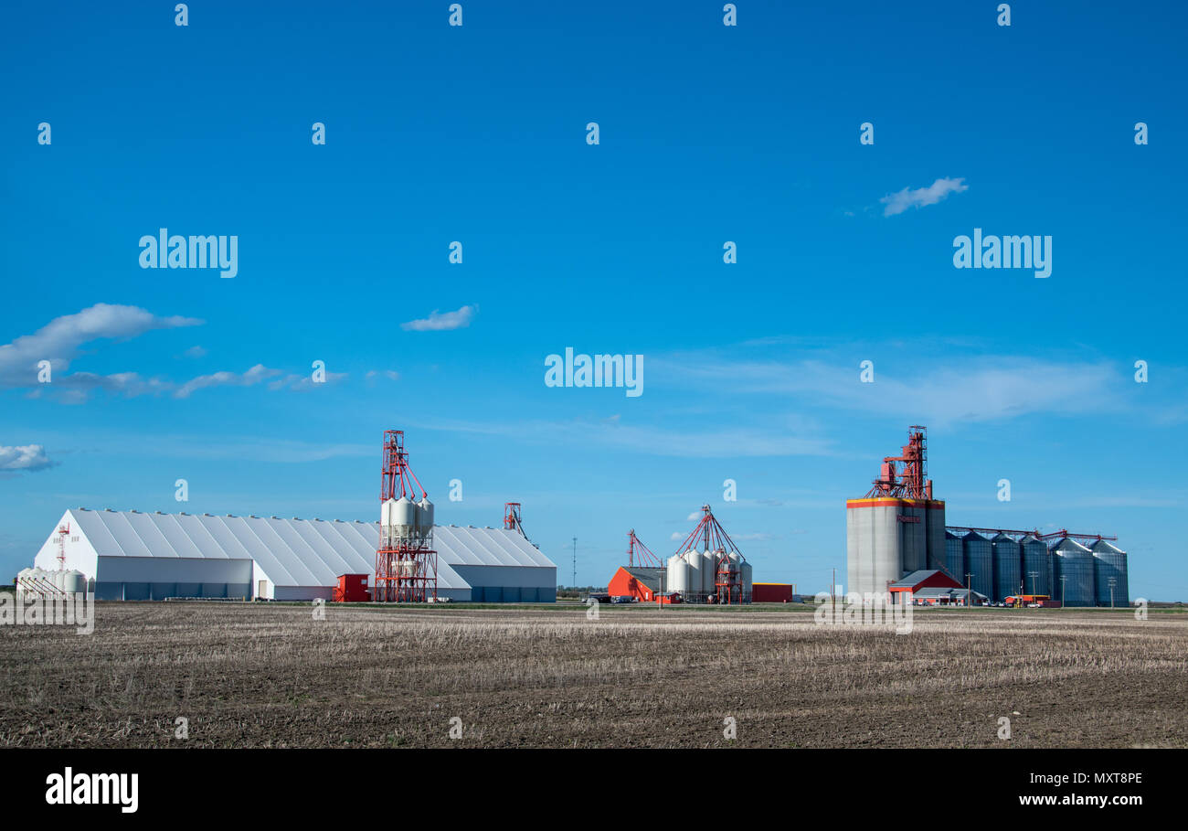 Grain Elevator near Carseland, Alberta, Canada Stock Photo - Alamy