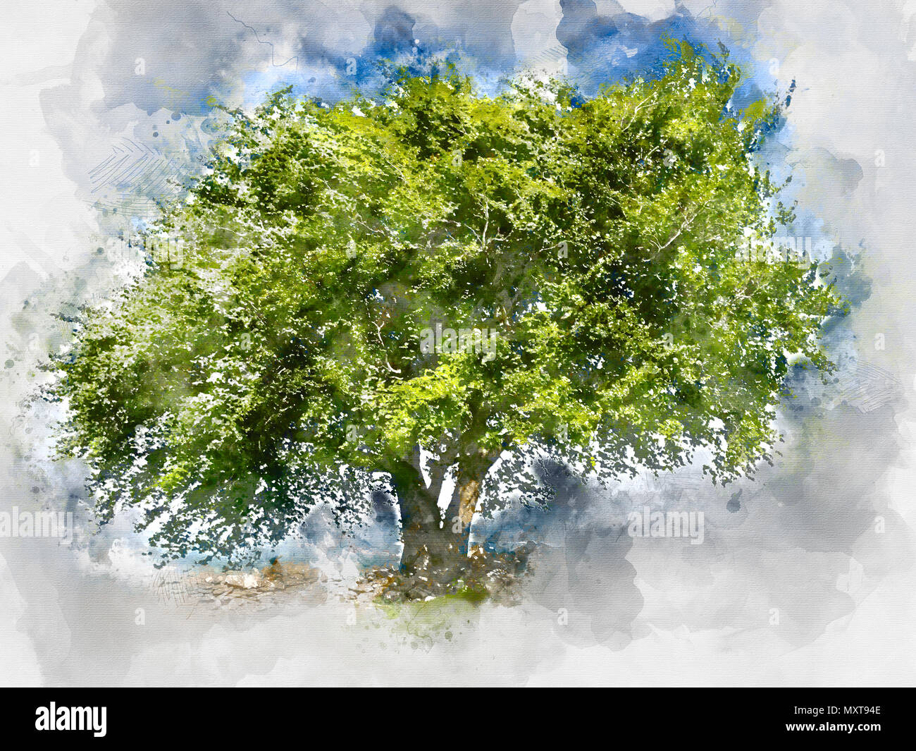 Watercolour painting of a Tree Stock Photo - Alamy