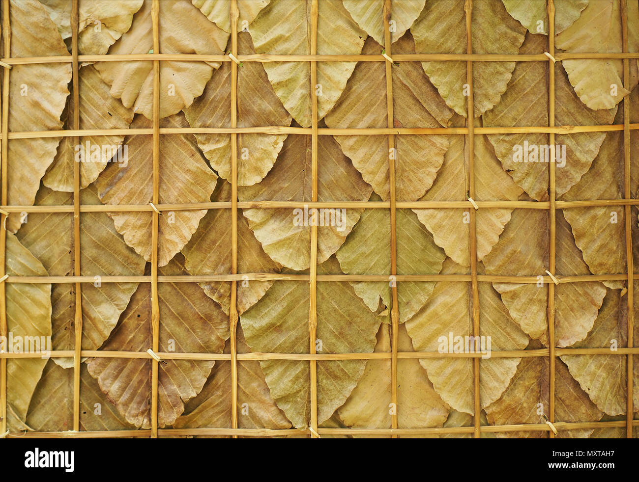 Dry leaves background Stock Photo - Alamy