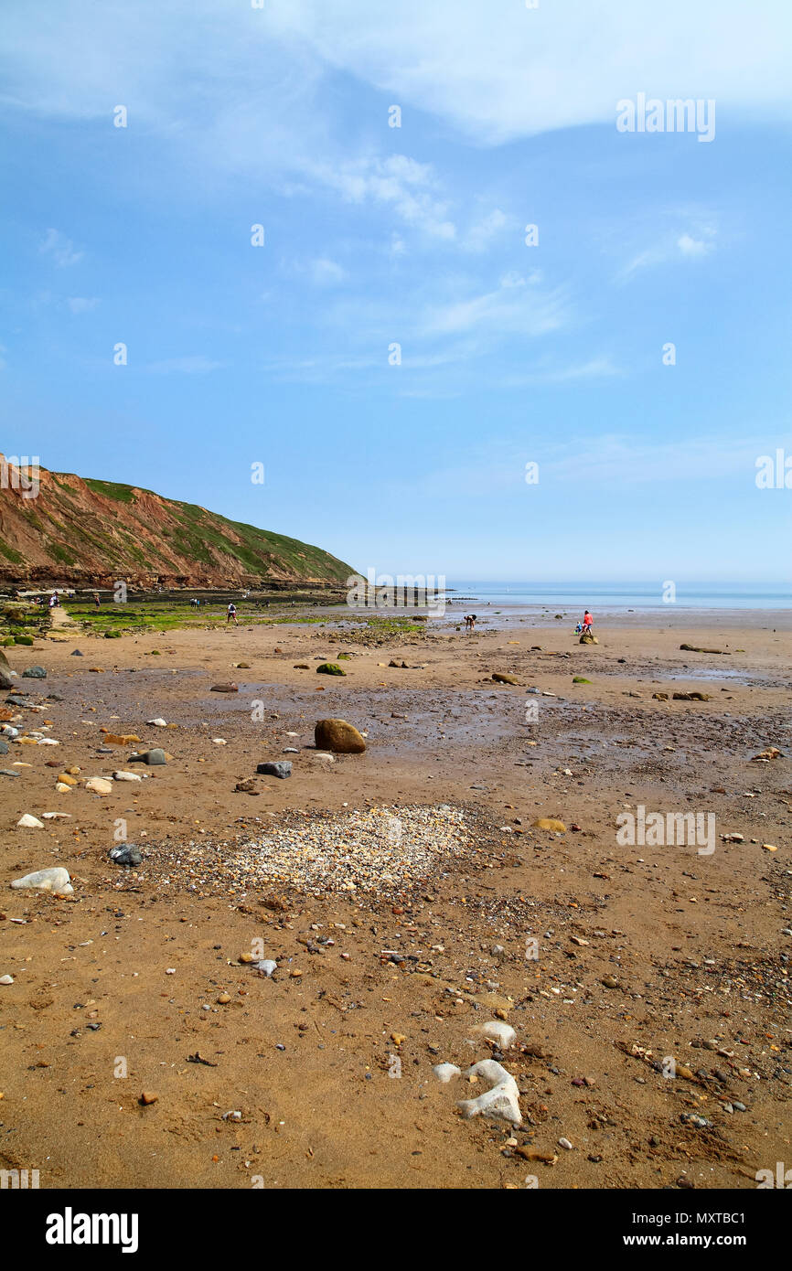 Filey North Yorkshire UK June 1st 2018 view of Filey brigg and carr ...
