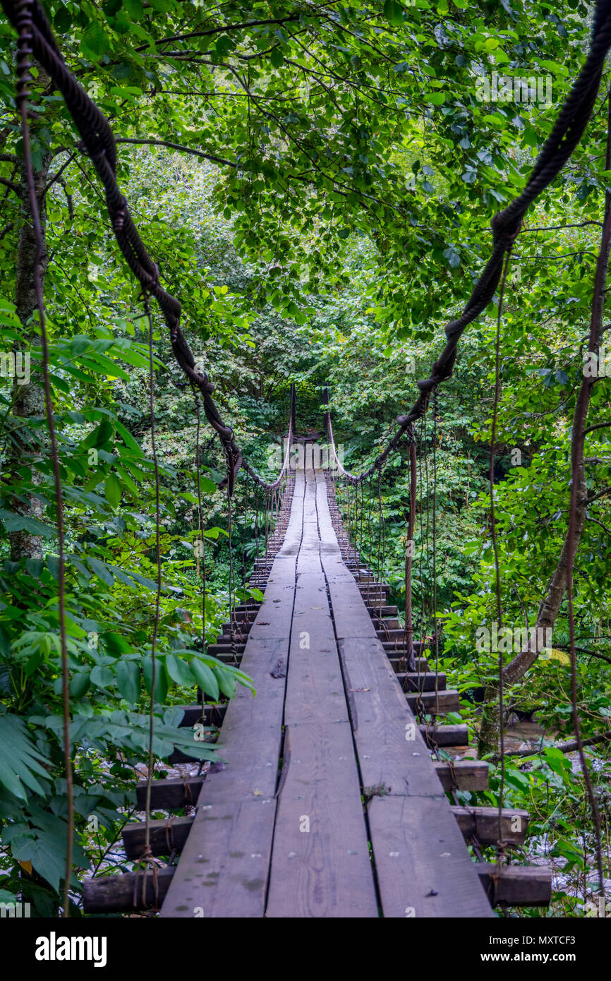 Hanging bridge over the river in mtirala national park hi-res stock ...