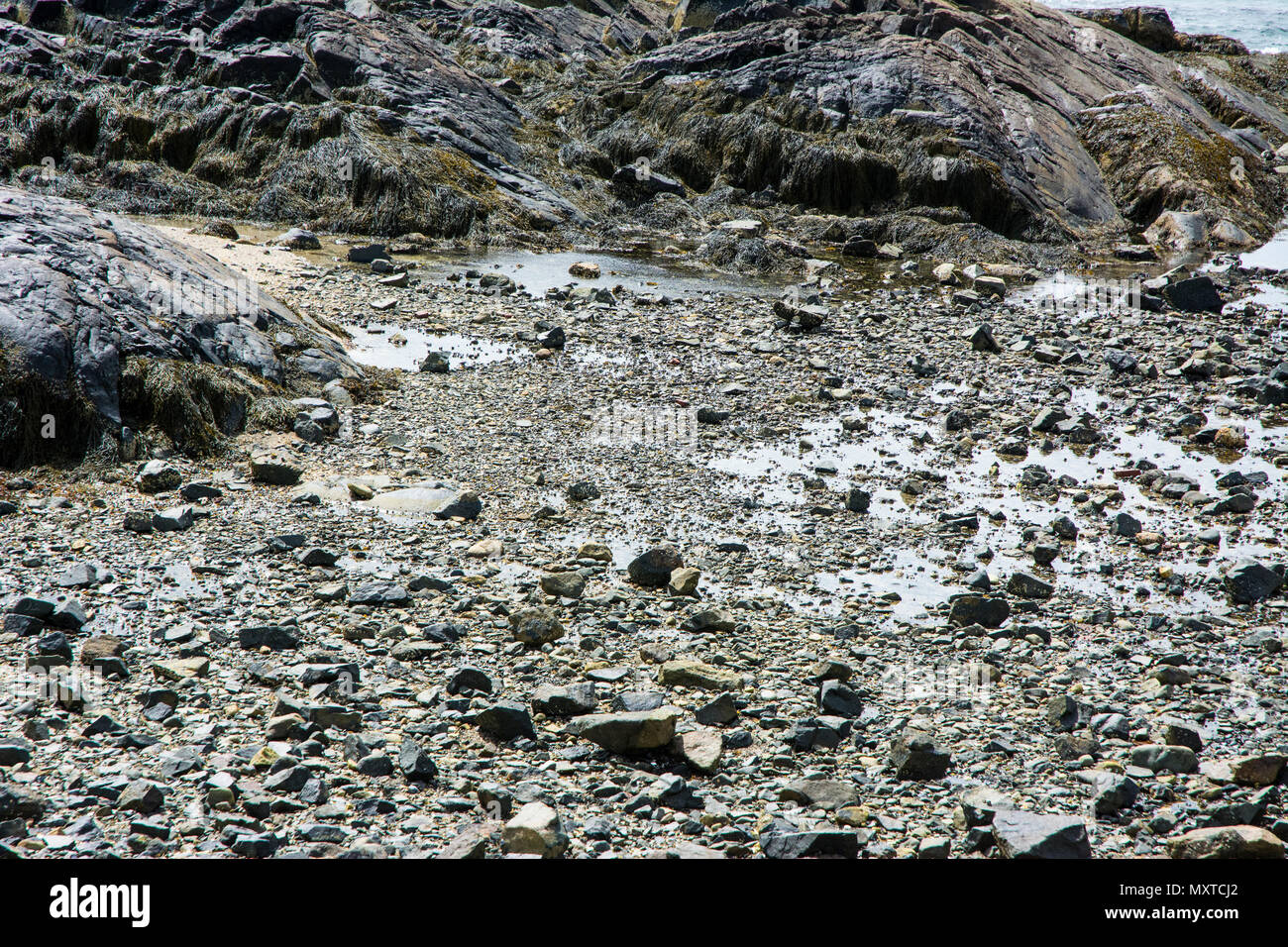 Rocks and pebbles line the coast line of the ocean in Marblehead, MA ...
