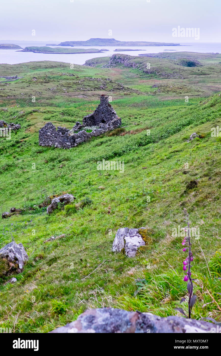 Croft scotland hi-res stock photography and images - Alamy