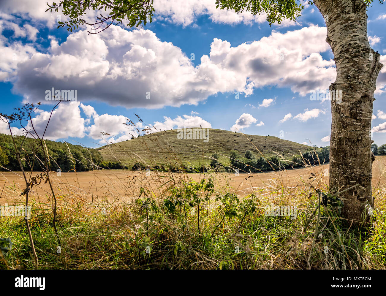Cley hill hi-res stock photography and images - Alamy