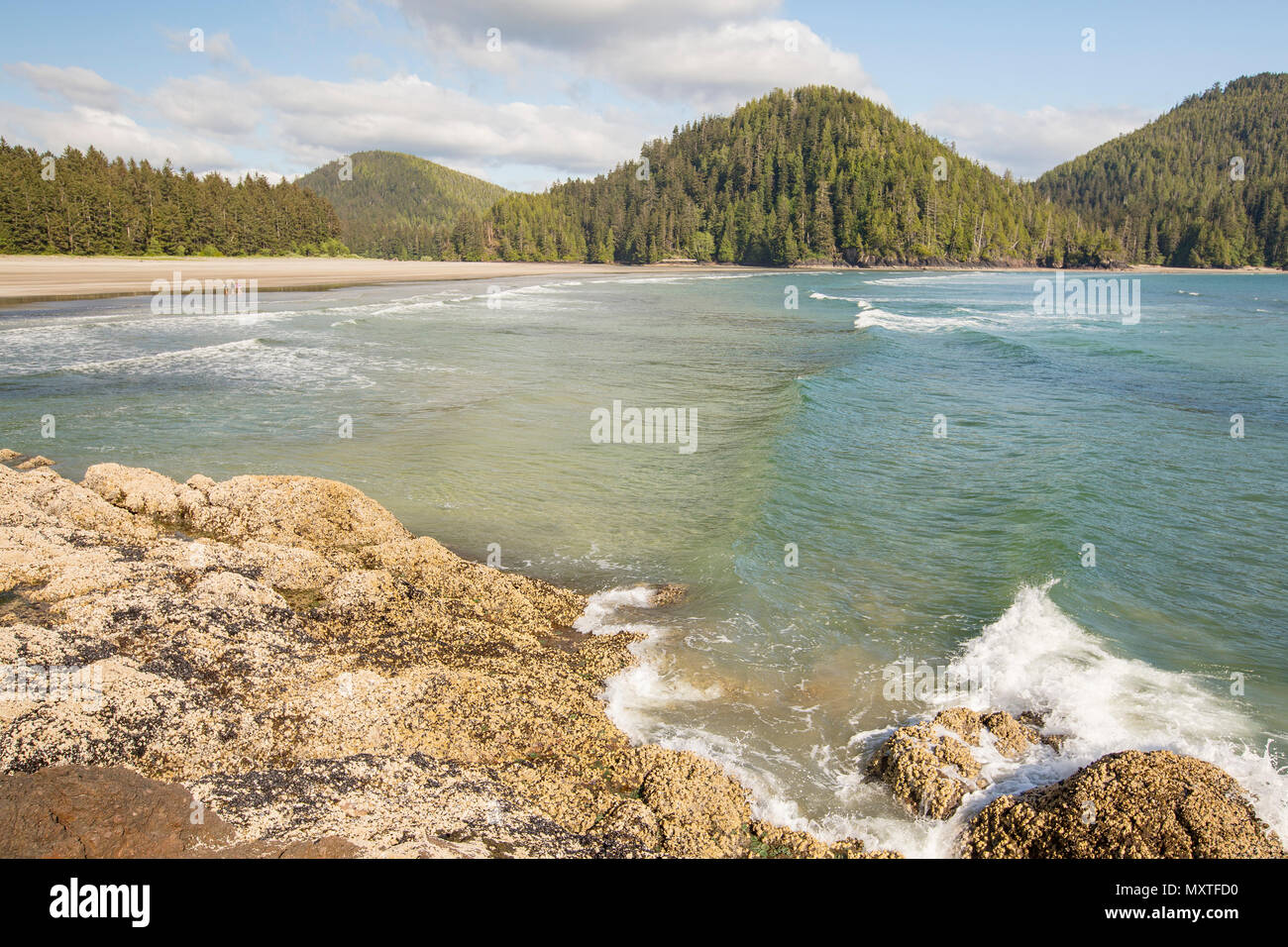 Vancouver Island. San Josef Bay in Cape Scott Provincial Park. Beach ...