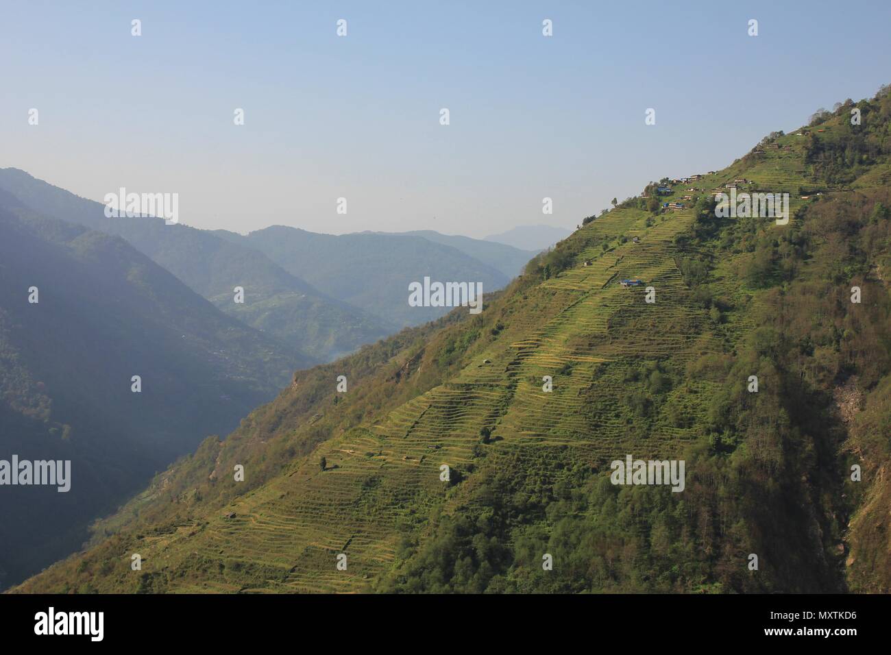 Steep hill with terraced fields in Ghandruk, Nepal Stock Photo - Alamy