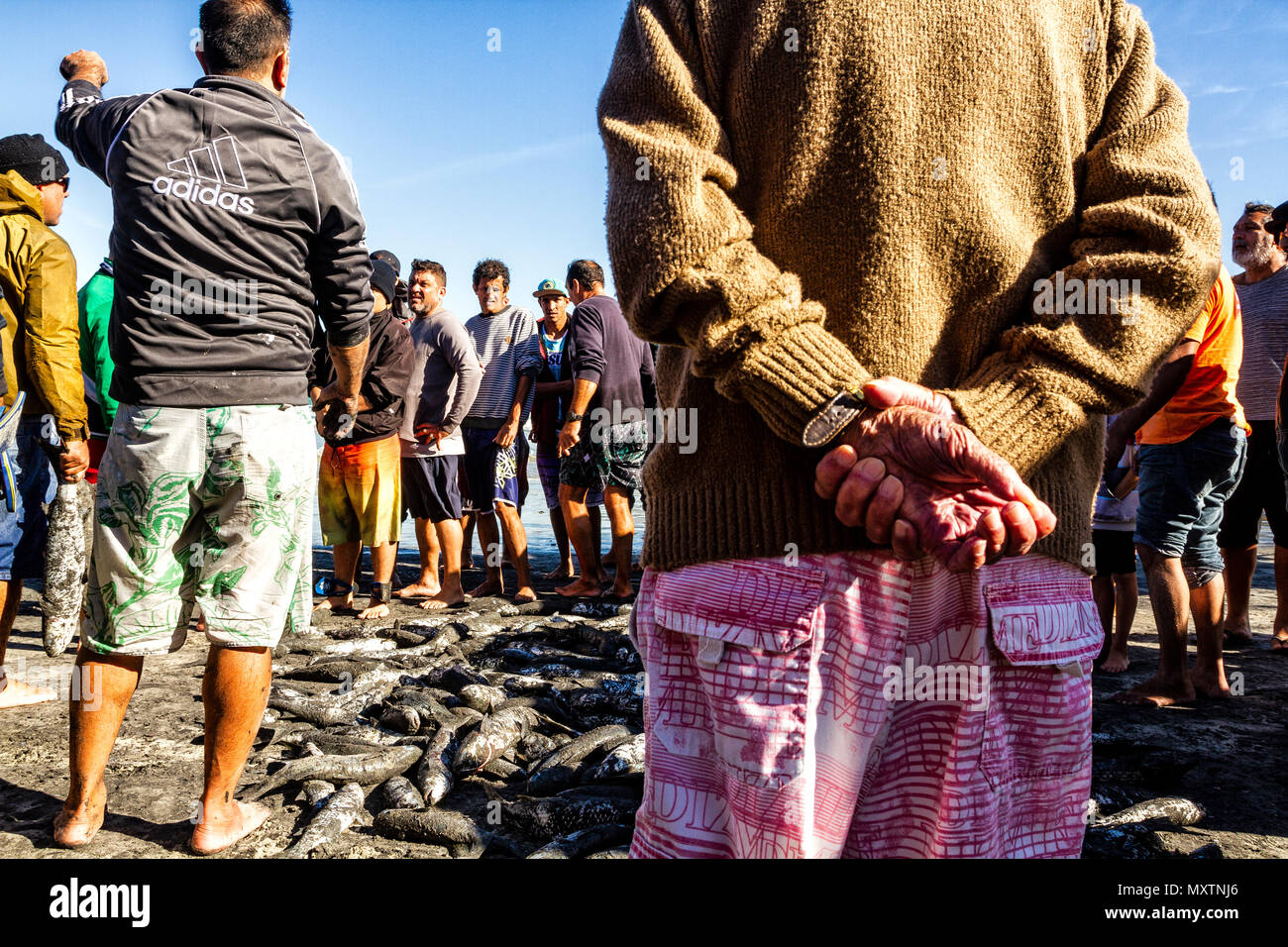 Ground mullet hi-res stock photography and images - Alamy