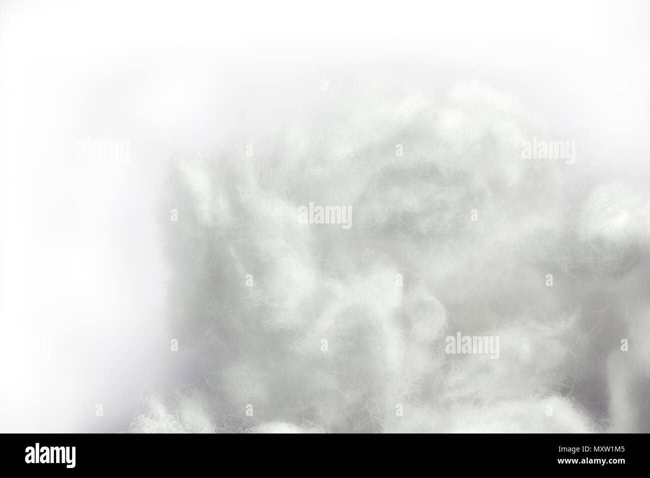 Cellulose hi-res stock photography and images - Alamy