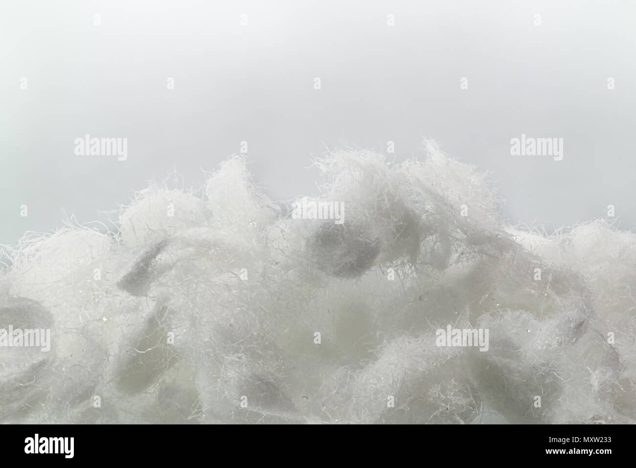 Cellulose fiber paper fibers hi-res stock photography and images - Alamy