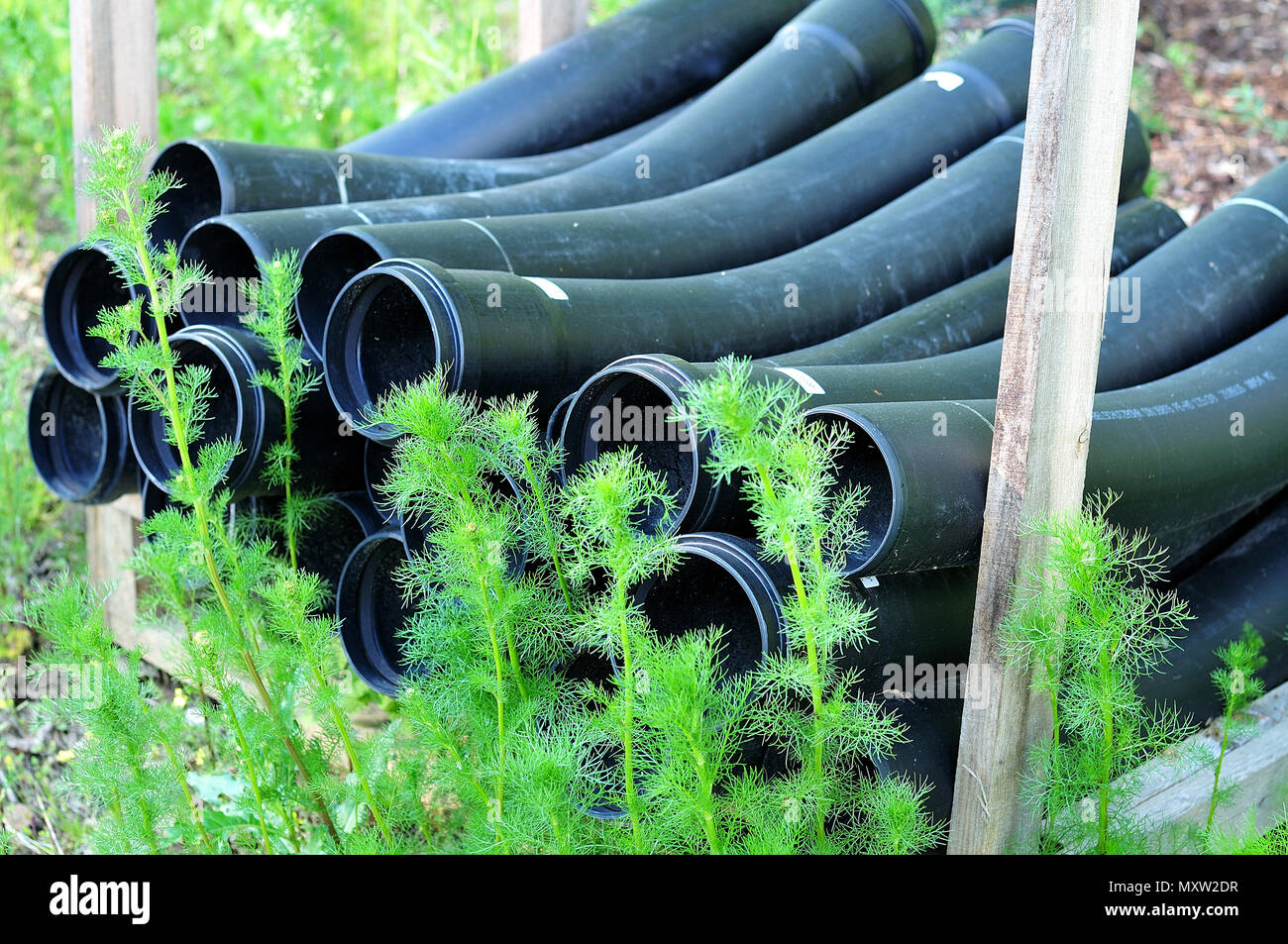 pile of black water pipes stored in wooden frame beside construction ...