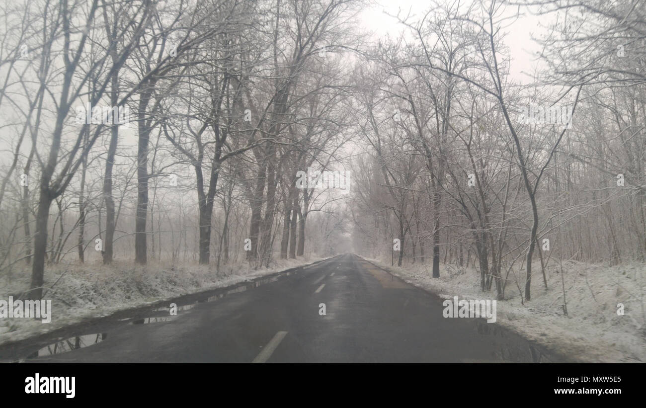 Nordic winter snowy frosty road with forest landscape background ...
