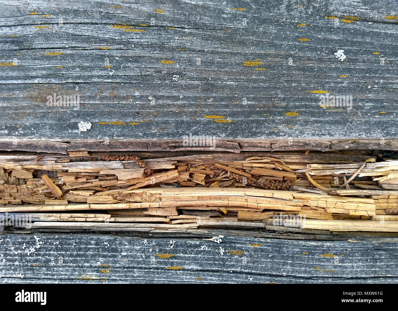 Rotting wooden structure hi-res stock photography and images - Alamy